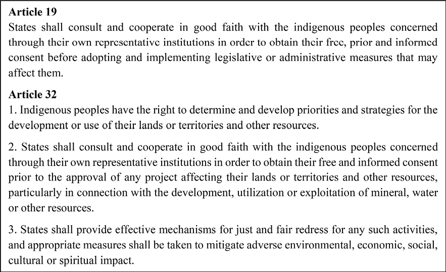 Indigenous Peoples’ Human Rights, Self-Determination and Local ...