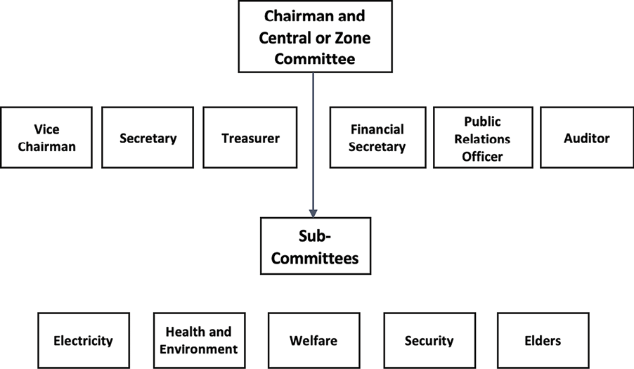 Filling the Gaps in Local Governance: An Analysis of the Structure and ...