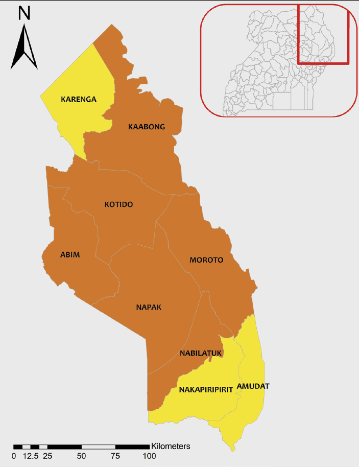 Decentralisation and Political Empowerment of Citizens in Karamoja, Uganda