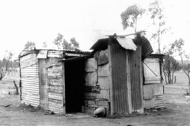 In the Shadow of a Willow Tree: A Community Garden Experiment in ...