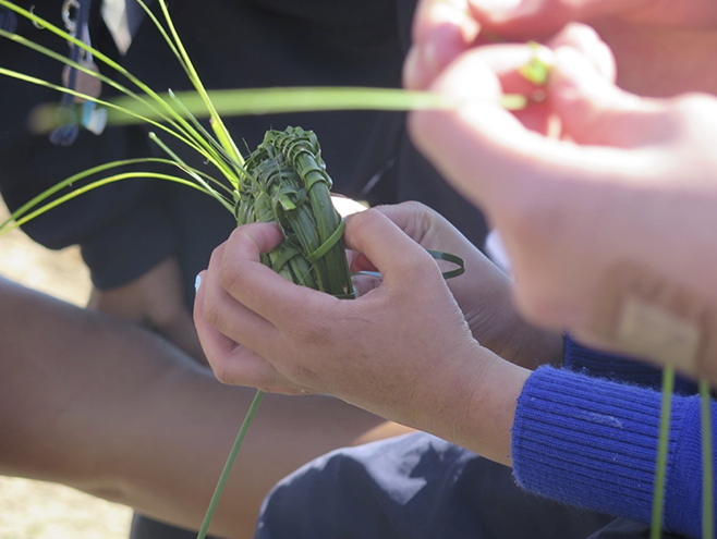 In the Shadow of a Willow Tree: A Community Garden Experiment in ...