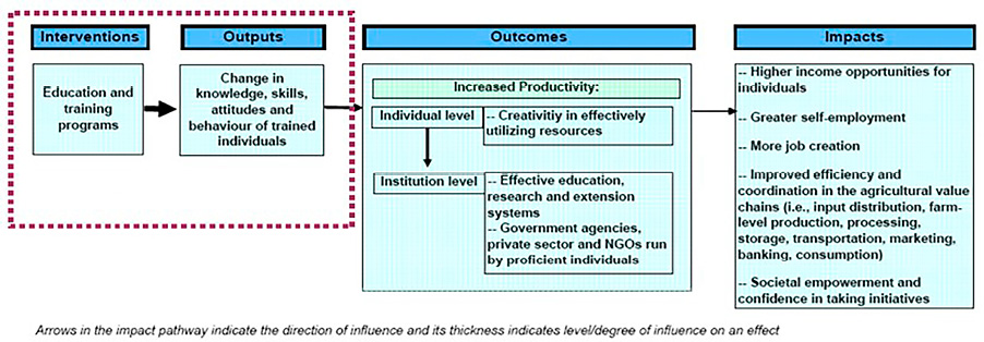 Linkages with Practice for Higher-Education Curriculum Innovation